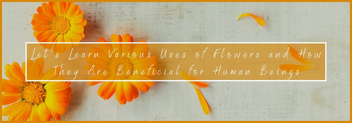 Let’s Learn Various Uses of Flowers and How They Are Beneficial for ...