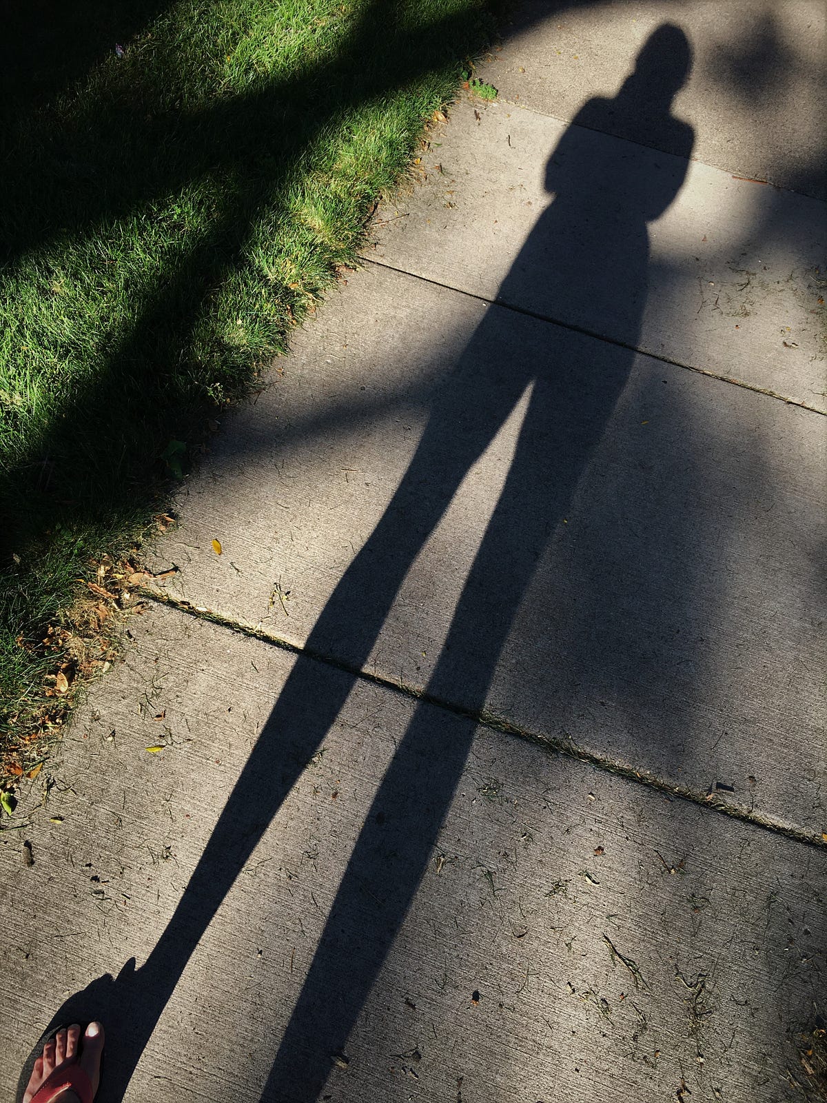 Those Are Some Long Legs. Shadow Art // 6-Word Photo Story Summer… | by ...
