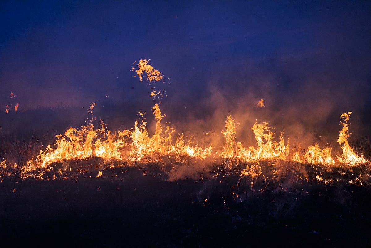 Let It Burn | by Barrett Emke | Vantage | Medium