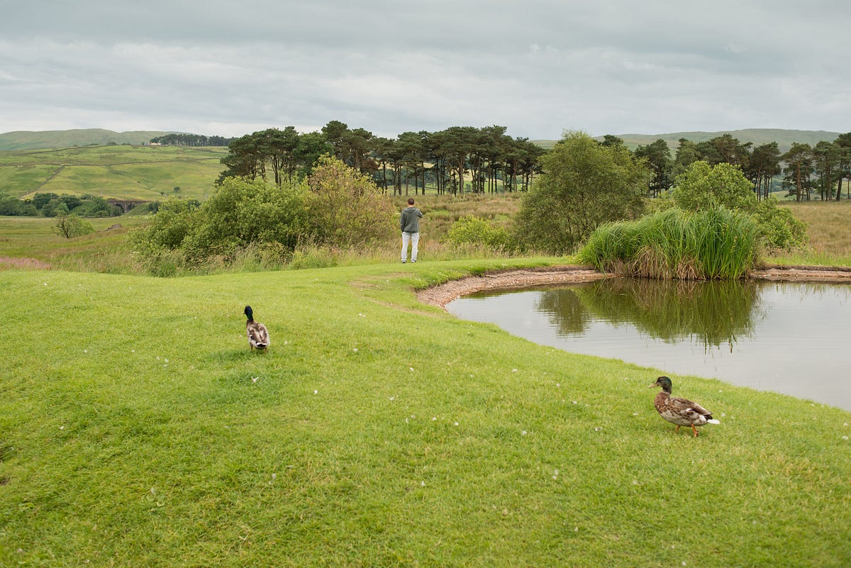 2 days at Tebay Services. Service stations. They’re all the same… | by ...