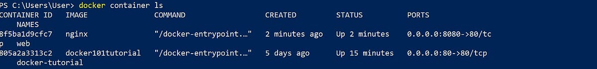 Docker Basics Commands. This tutorial reviews basic Docker… | by Aarya ...