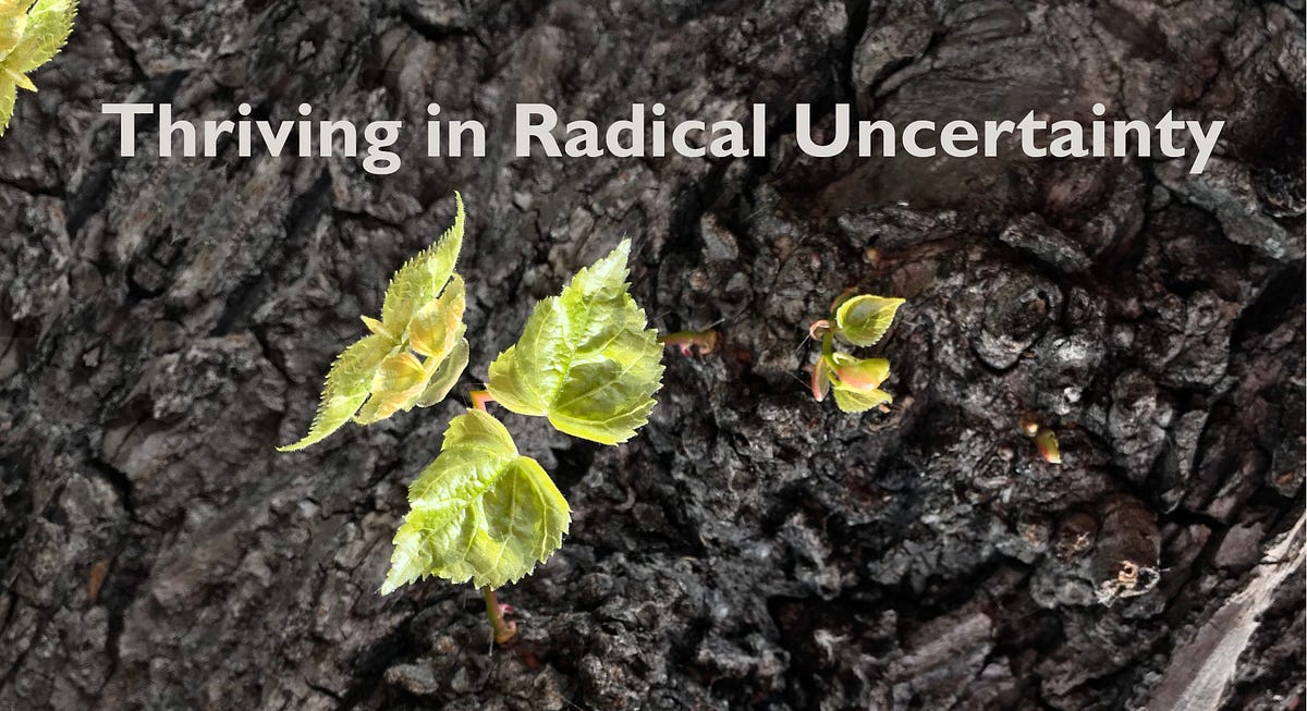 Thriving in Radical Uncertainty. Listen, Reflect and Harmonise to… | by ...