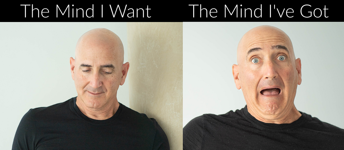 How to Tame a Stressed-Out Mind. When I work with a client to help them ...
