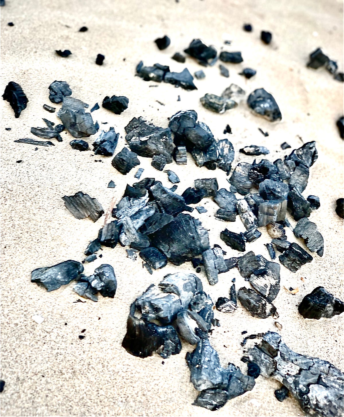 Shattered + Coherence.. Similar Suffering, Homeopathy, and… | by Beth ...