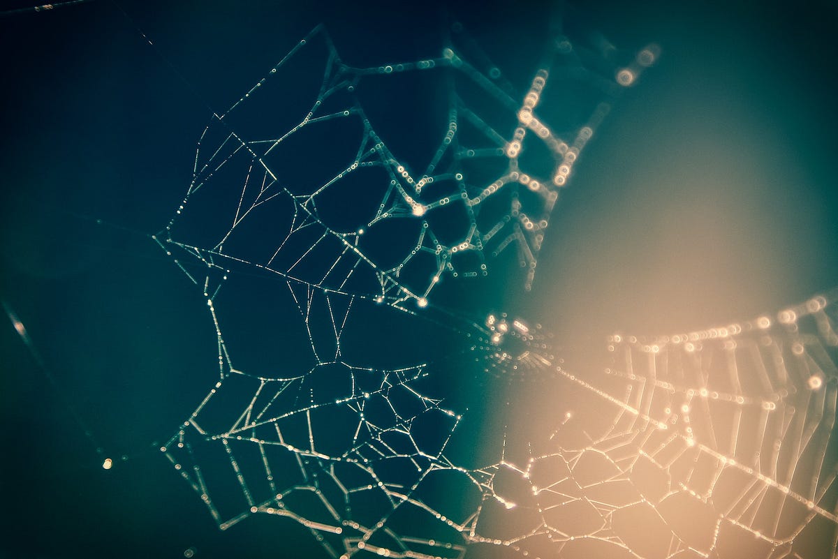 The Feynman Technique and Machine Learning | by Ryan Clark | Medium