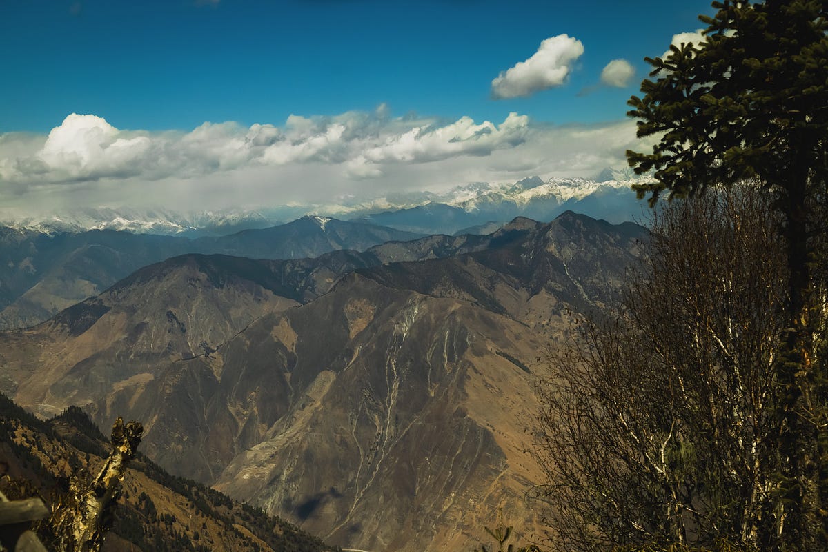 If you’ve wandered off too far. a poem | by Lucy Dan 蛋小姐 (she/her/她 ...