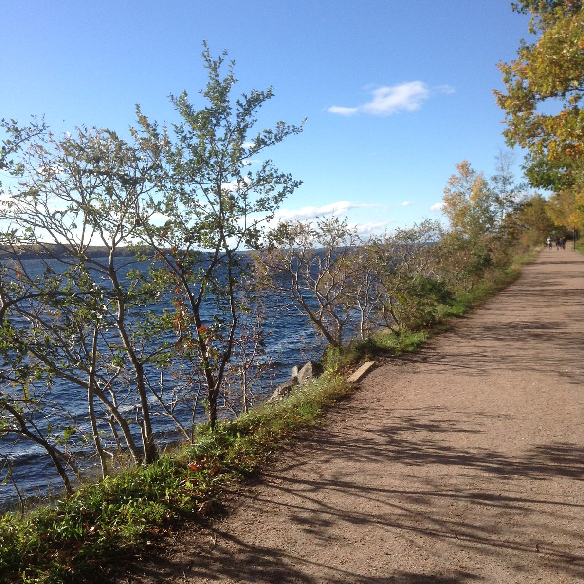 The Red Beret. The leaves had been raked and piled up | by Isobel ...