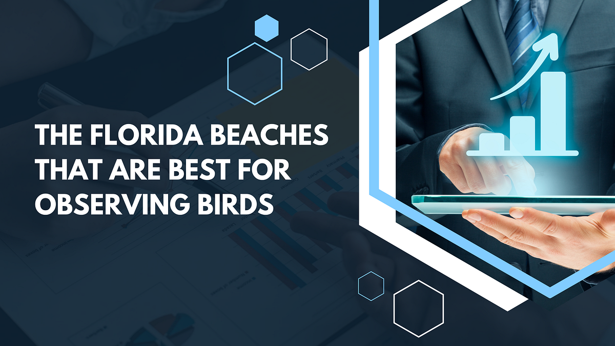 Florida’s Greatest Beaches for Photographers | by Siri Karan | Sep ...
