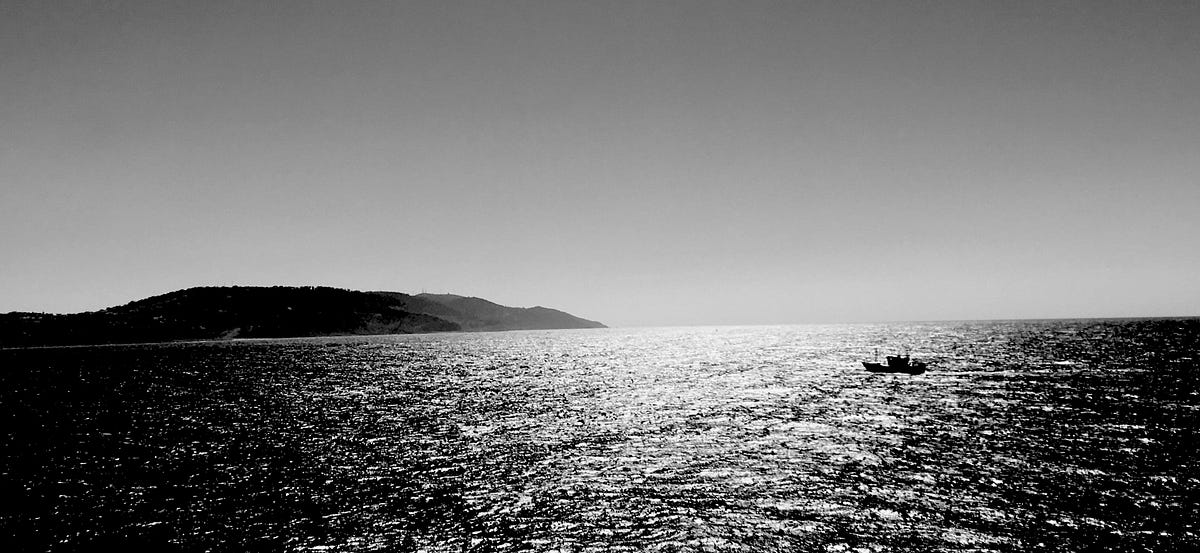 The Angler. A box of rifles. A lousy compass. A… | by Caleb Garling ...