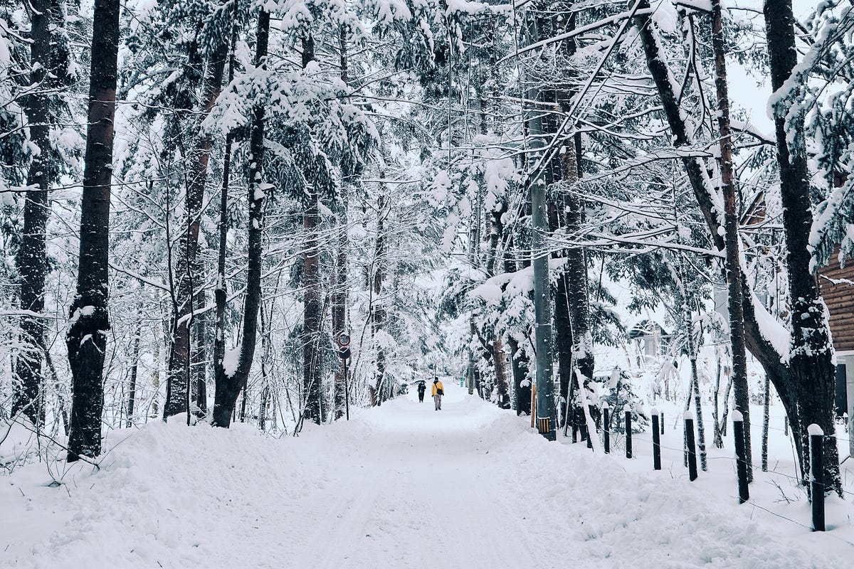 Kumoba-ike Pond Haiku. We walked through the snow | by mrbrown | Medium