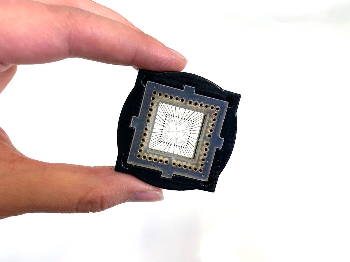 How Human Organs On Chips + AI + Robotics Could Transform Drug ...