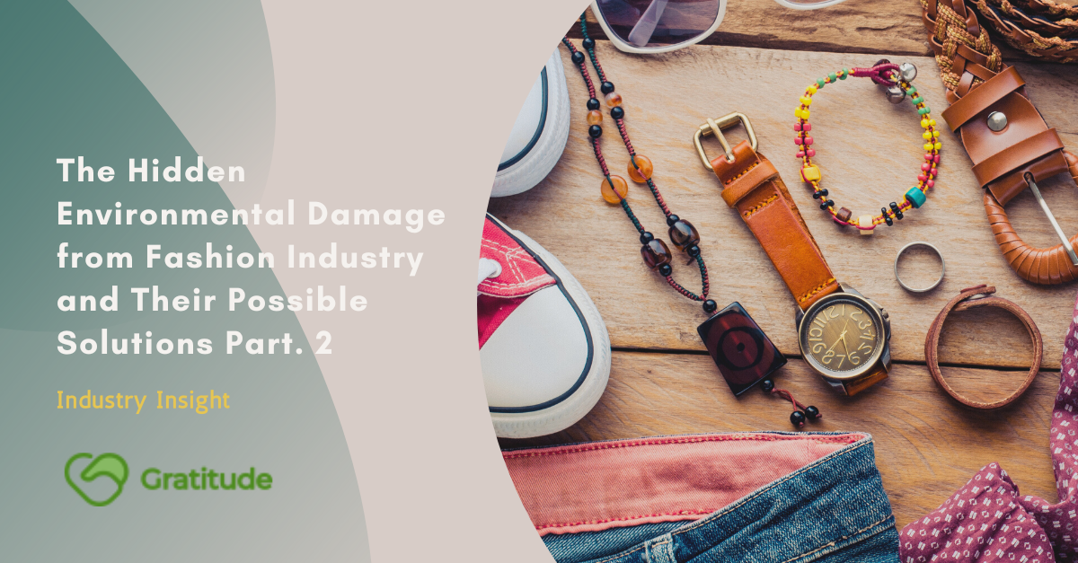 The Hidden Environmental Damage from Fashion Industry and Their ...
