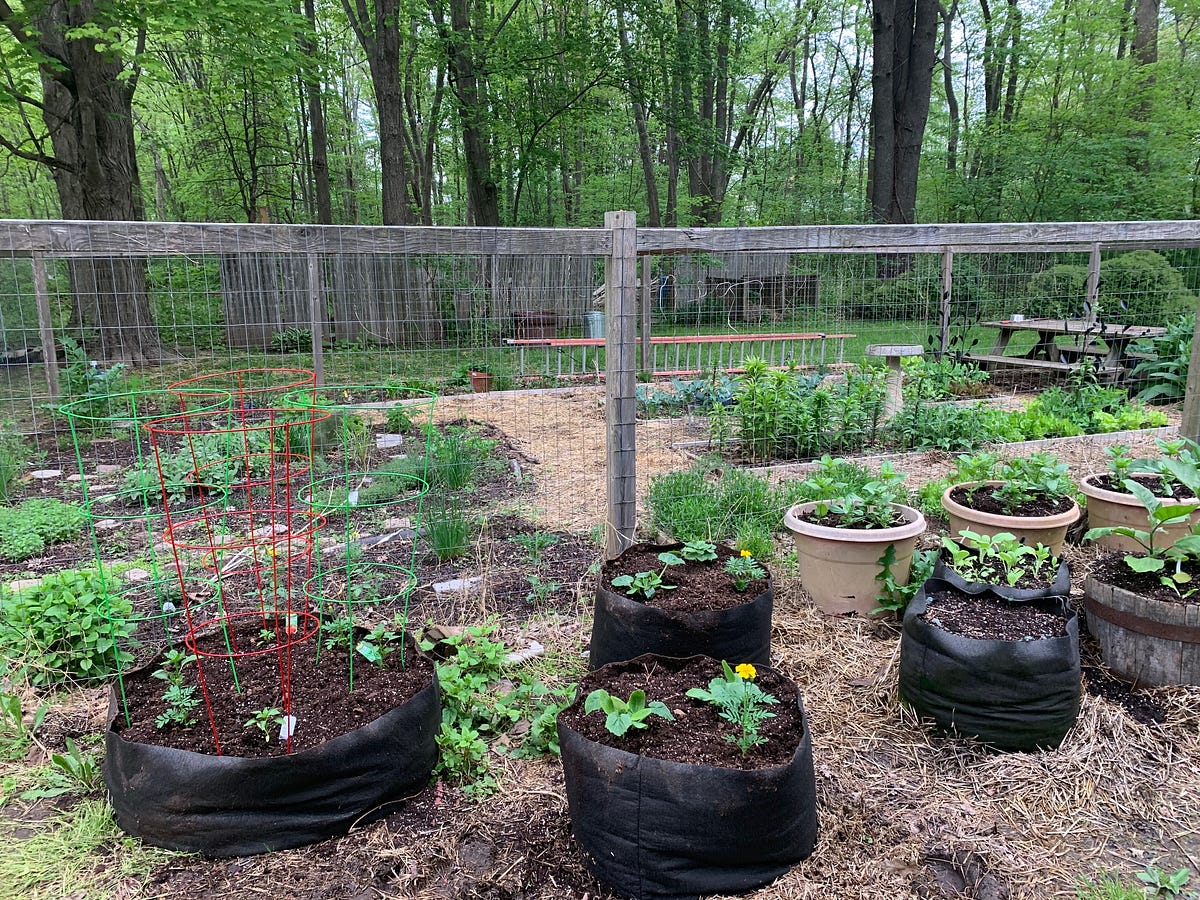 Getting to Know Your Garden Soil. Organic gardening basics | by ...