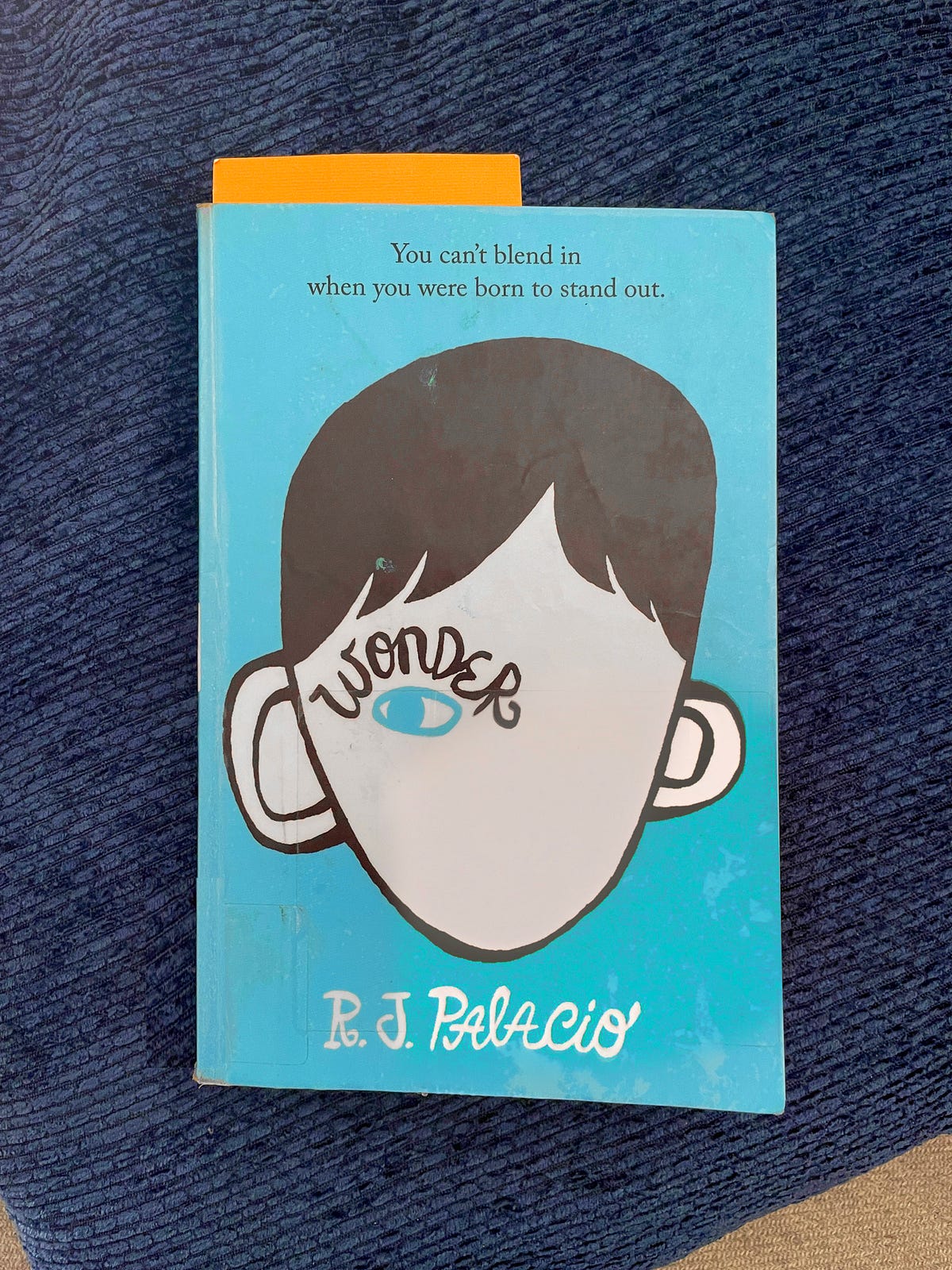 Book review: Wonder by R.J. Palacio | by Elus Ives | Medium