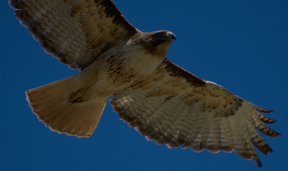 How to Zoom Out and Broaden Your Perspective When Solving Problems | by ...