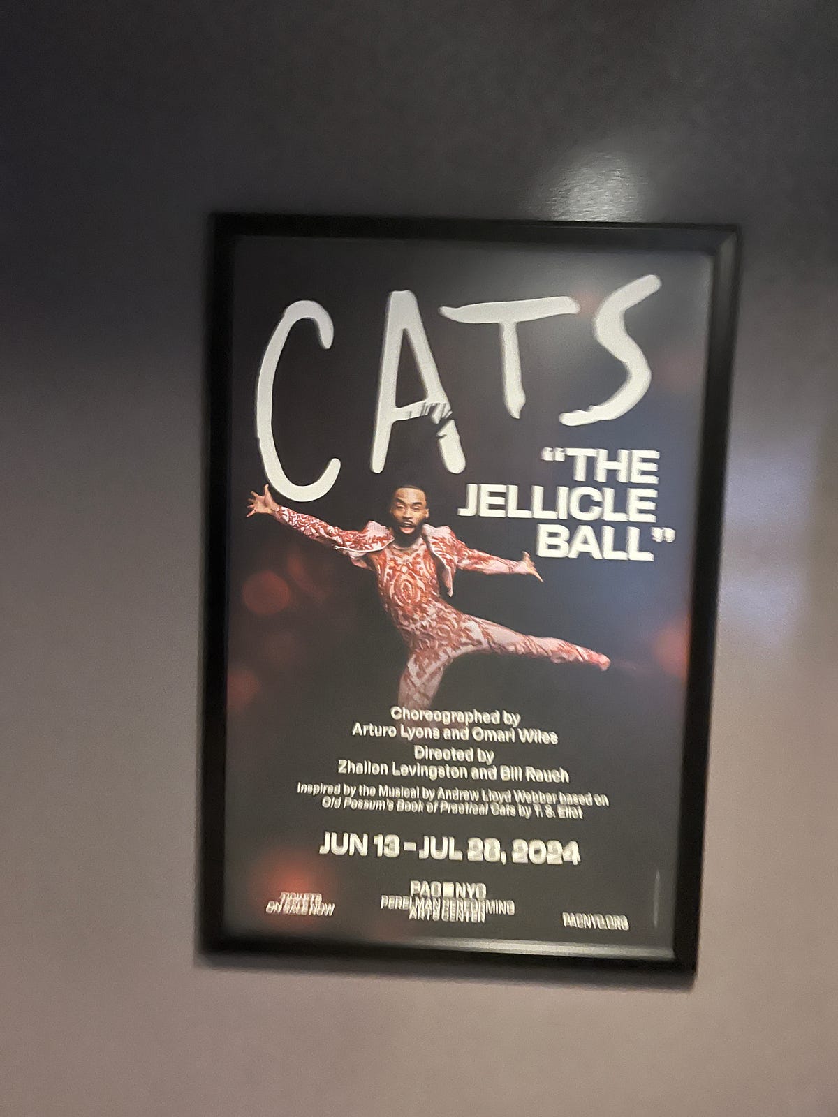 The Jellicle Ball. Hello and where is the show | by M. M. De Voe ...