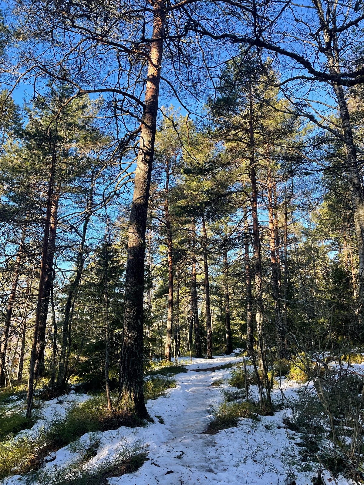Do not follow in my footsteps. Create your own path | by ...