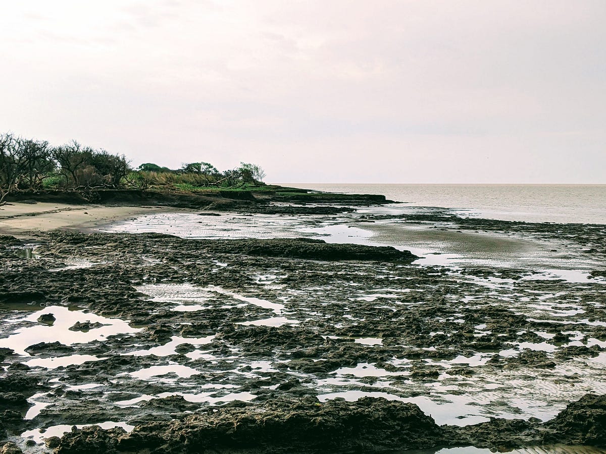 Did I Lose My Lust For Life or Get Lost Along The Way? Over 40 and Starting Over | by Sara ...