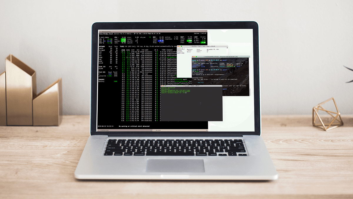 How the shell works internally when entering a command | by Samuel A ...