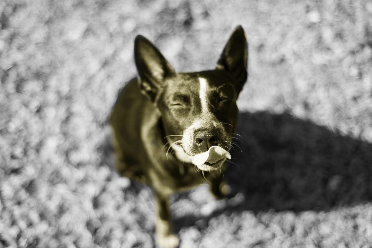 Blink Detection On Android Using Firebase Ml Kits Face Detection Api 