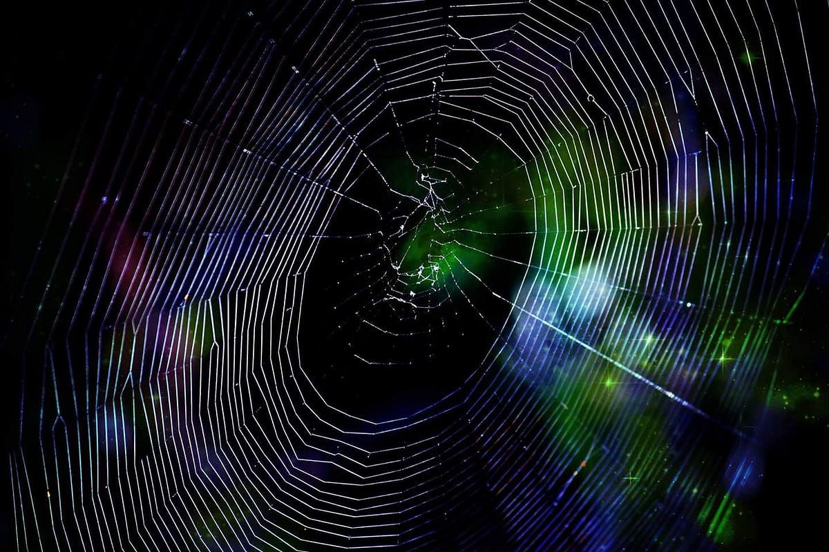 Silver Webs. Silver webs ensnare: | by Richard Palmquist, DVM GDVCHM ...