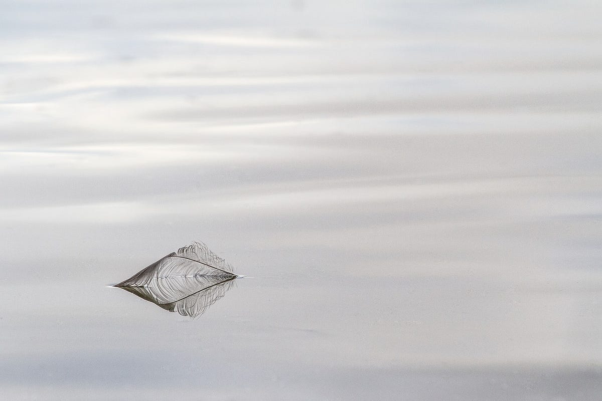 Death Diary: Once in Reverence and Once in Despair | by Anna Pulley ...