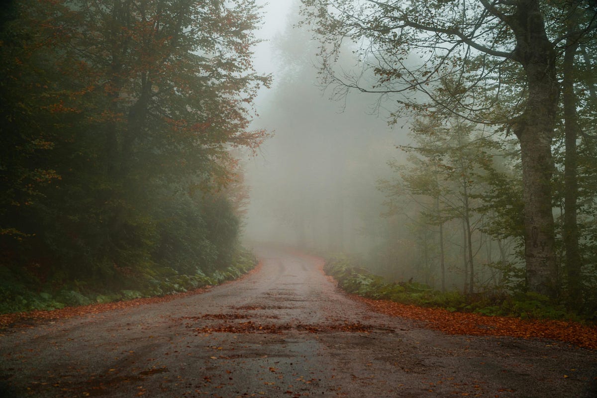 Once upon a time, in a small village nestled at the edge of a vast ...