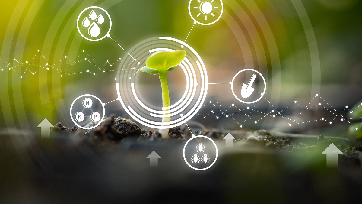 Data Science in Agriculture: Cultivating a Greener Tomorrow | by Datalgorithmics | Oct, 2023 ...