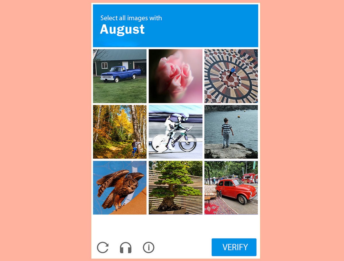 The Best of August. From the 52 Week Photography Project | by Rodrigo S ...