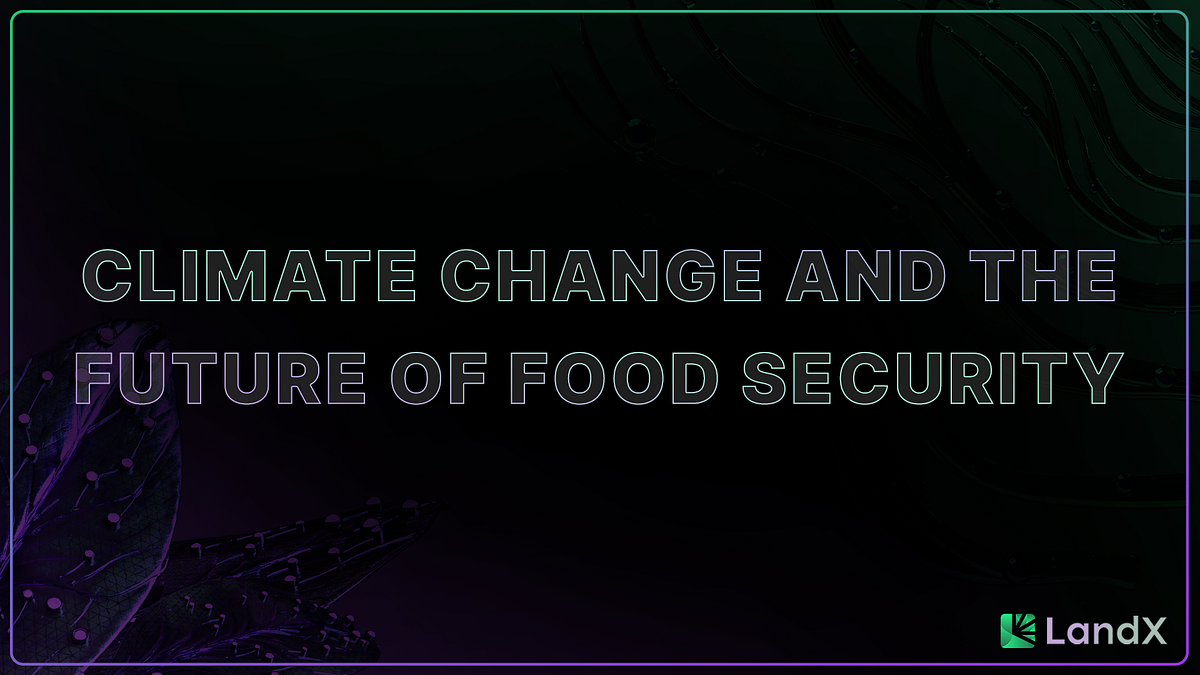 Climate Change and the Future of Food Security | by LandX | LandX Blog