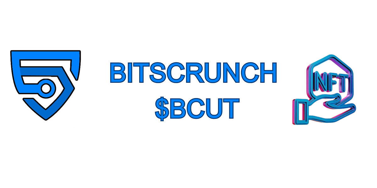 BITSCRUNCH….$BCUT..smart contract, vesting and Technical considerations ...