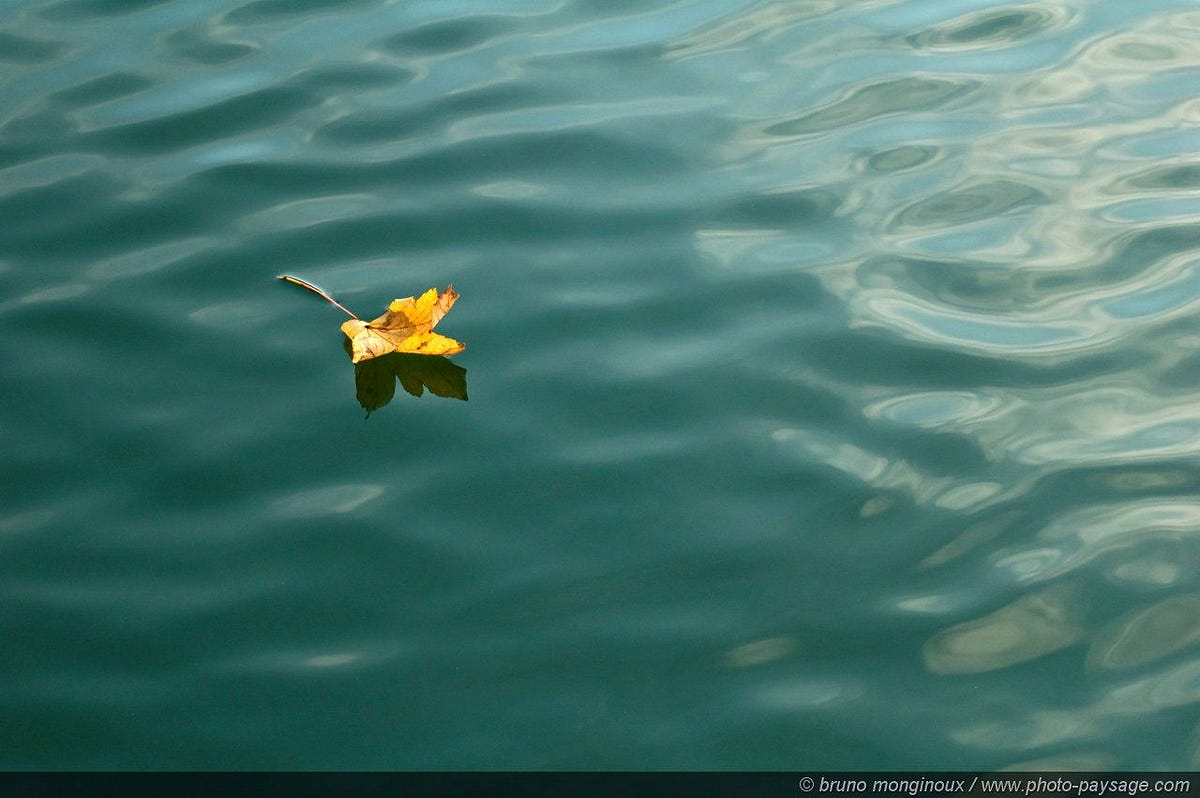 We should be drifting aimlessly through life more often | by Sven ...