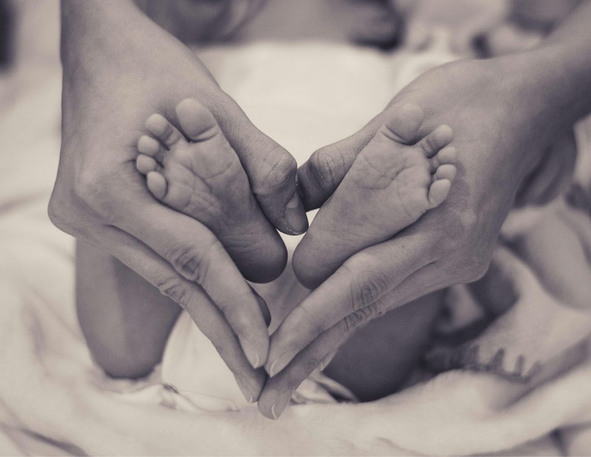 A beautiful new life. Life, in all of its glory, coming full… | by ...