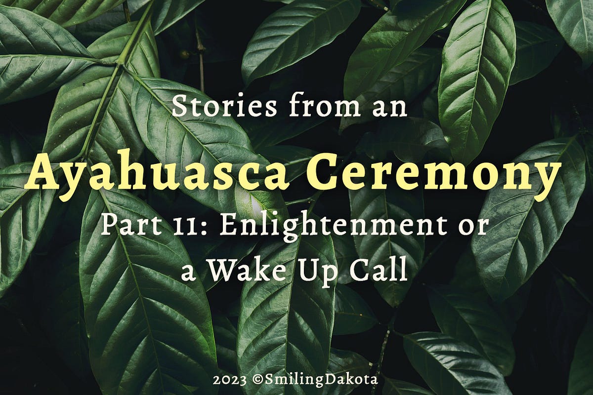 Part 11: Enlightenment or a Wake Up Call — Ayahuasca Stories | by ...