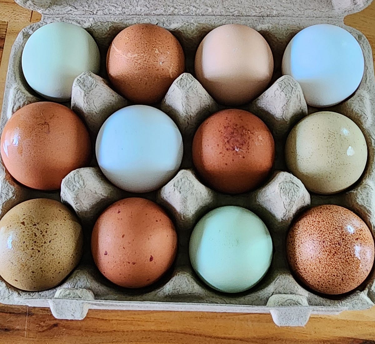 Reason #3 To Stay Alive Another Day: Orange Egg Yolks | by Z. Bell ...