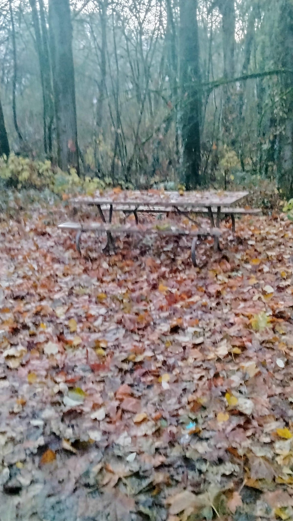 Chasing Home:. My Strange, Short Journey | by Brandon M Vaughan ...