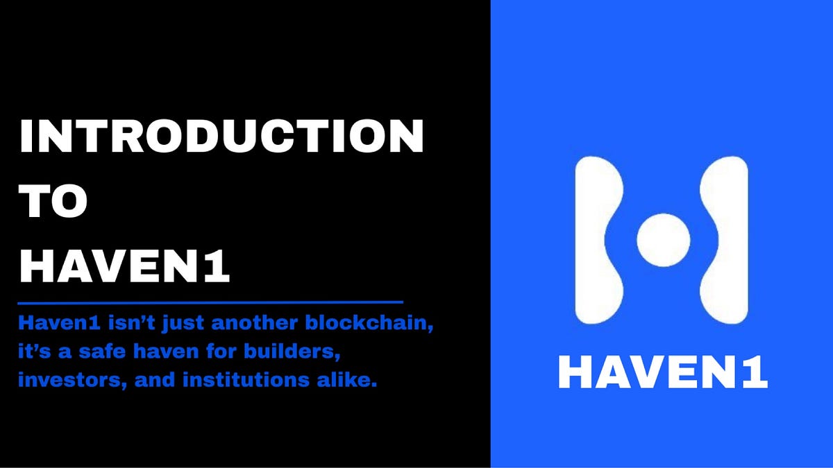 Haven1: The Safer, Smarter Blockchain for the Next Era of DeFi | by ...
