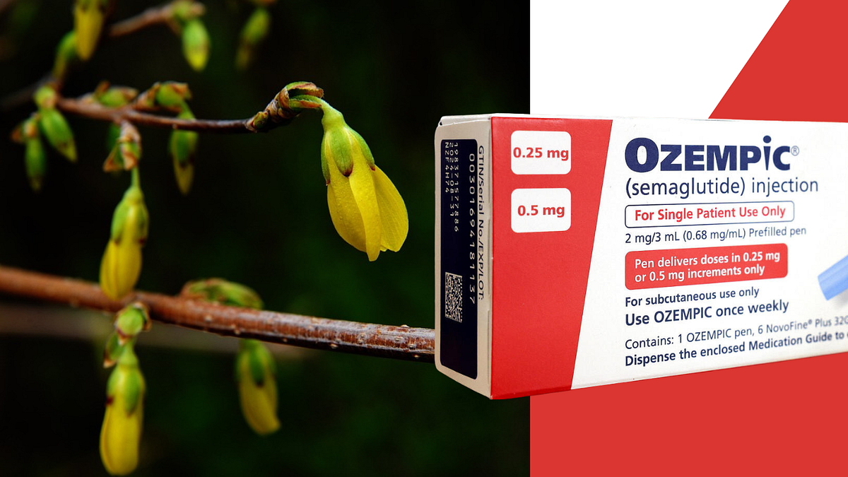 Berberine is “nature’s Ozempic” -here’s how it affects your body | by ...