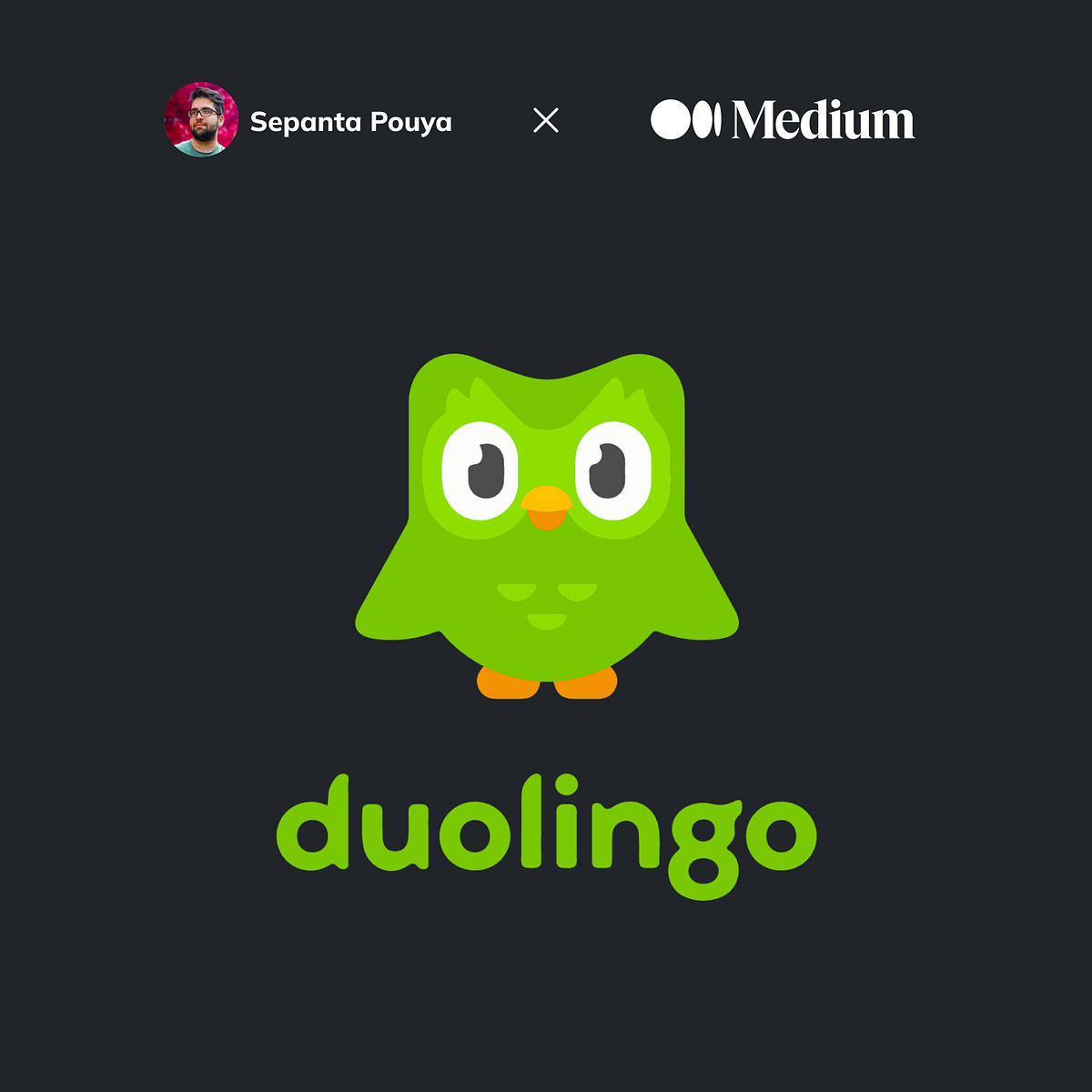 The Duolingo Experience: Crafting a Masterpiece in the Realm of ...