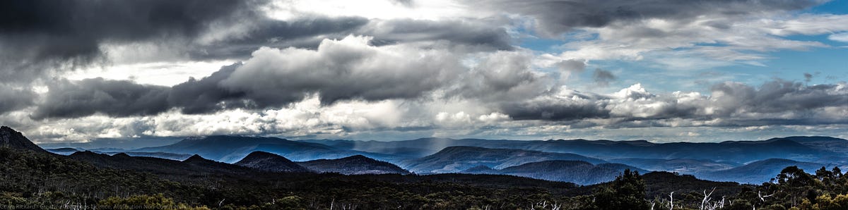 Free to fly. In the year 2000, I was a 14-year-old… | by Ceara Rickard ...