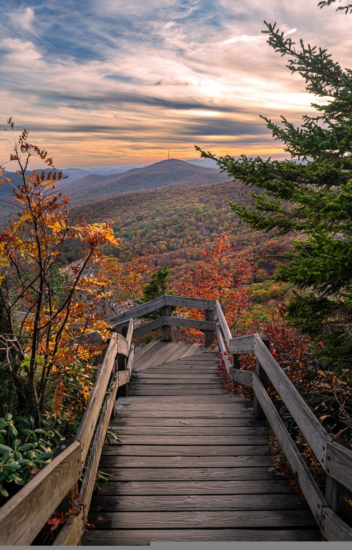 The Quiet Finish Line I Almost Missed | by Kim Weisner | Write Your ...