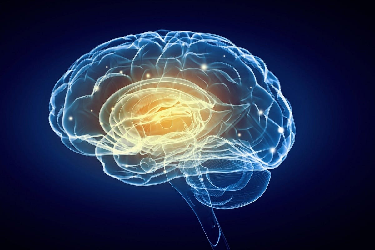 Are You Intelligent?. Intelligence is a complex and… | by Sofia ...