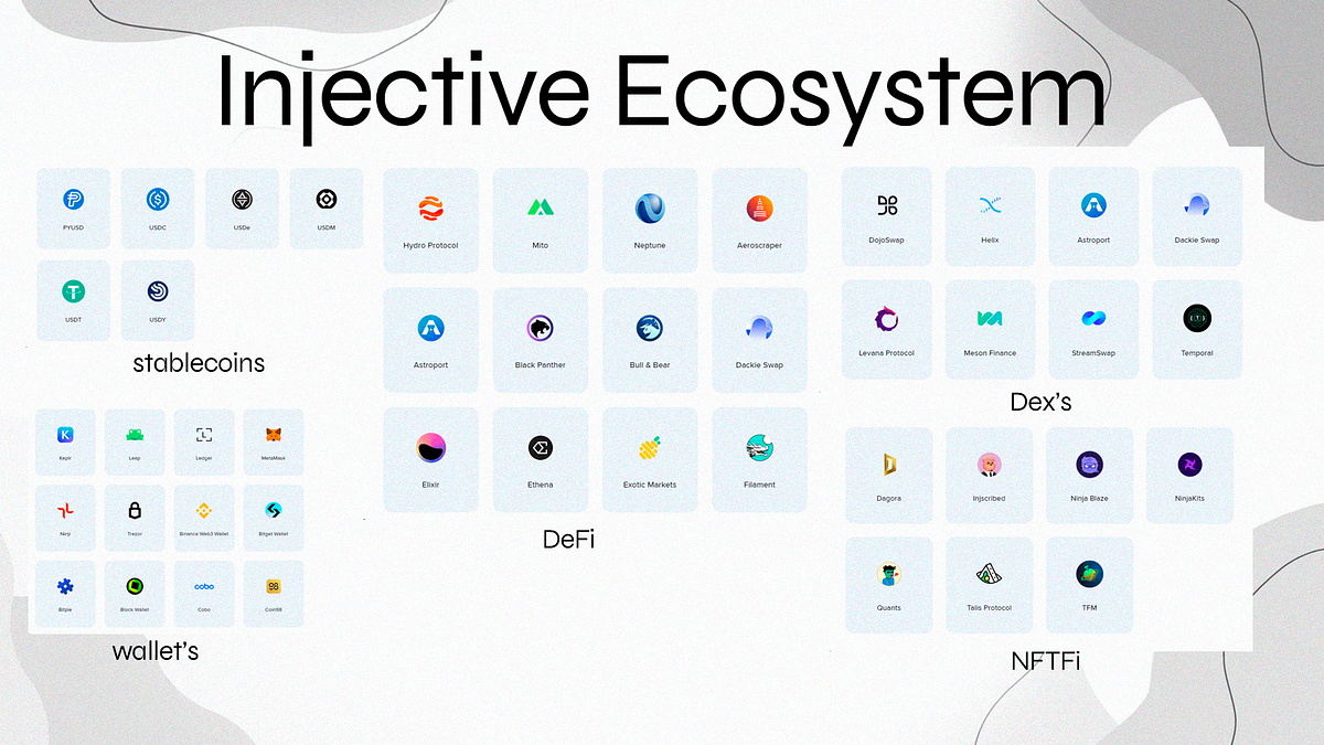 An overview of the Injectiv big ecosystem | by nwcok | Aug, 2024 | Medium