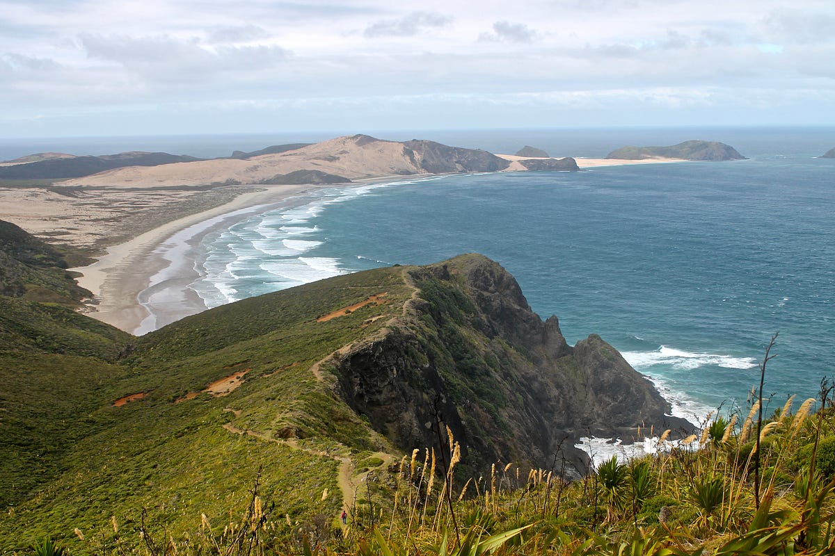 Roadtrippin’ Northland. (Feb 25 2014) | by Taylor Rae | Medium
