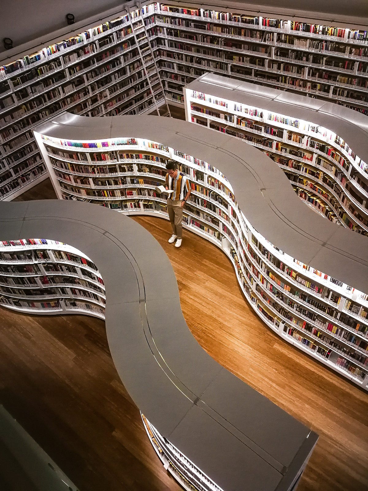 Millions of Books Published Each Year. Why Write Another? | by Ryan J ...