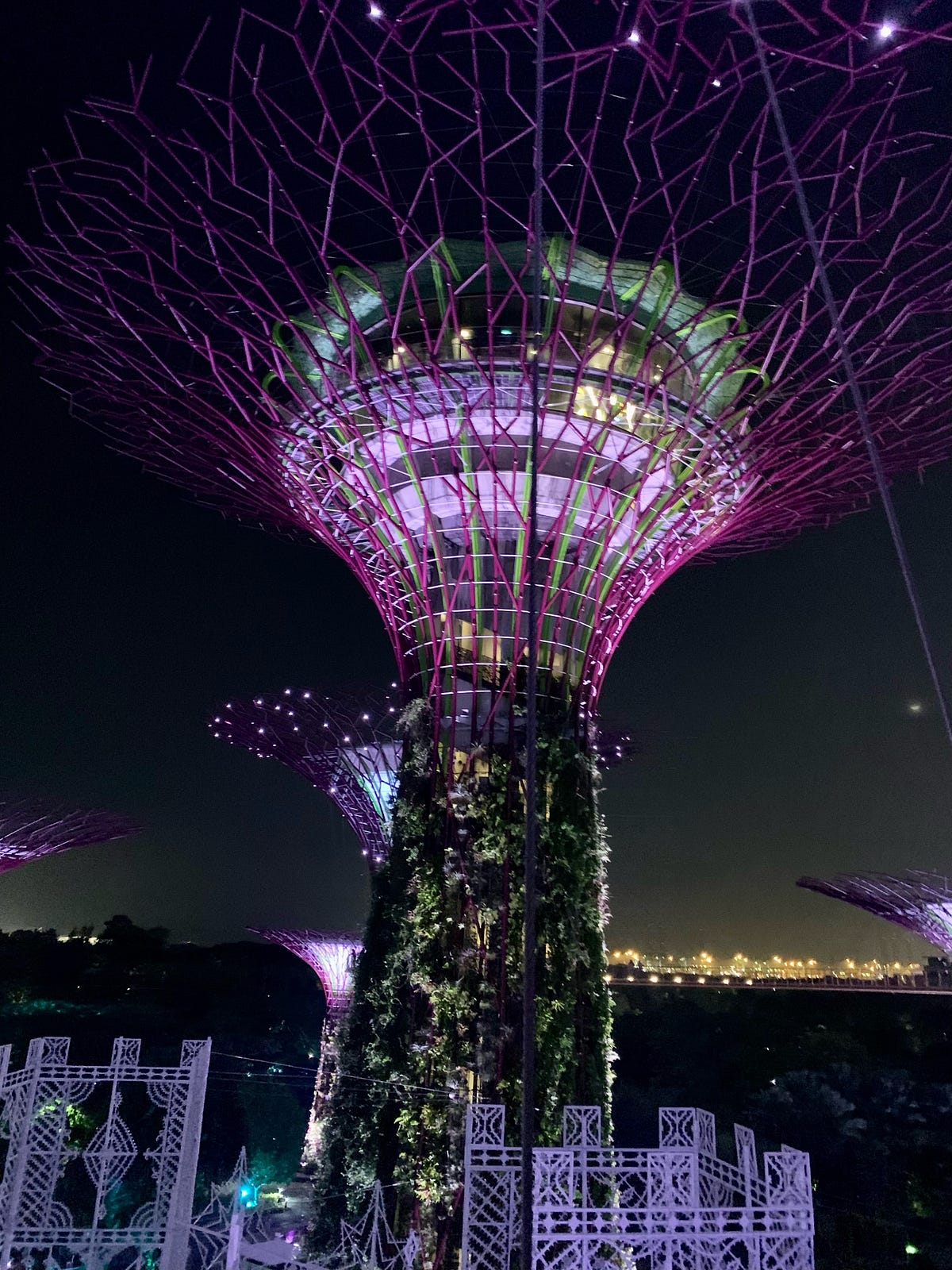 An Incredible Experience at the OCBC Skyway at Gardens by the Bay in ...