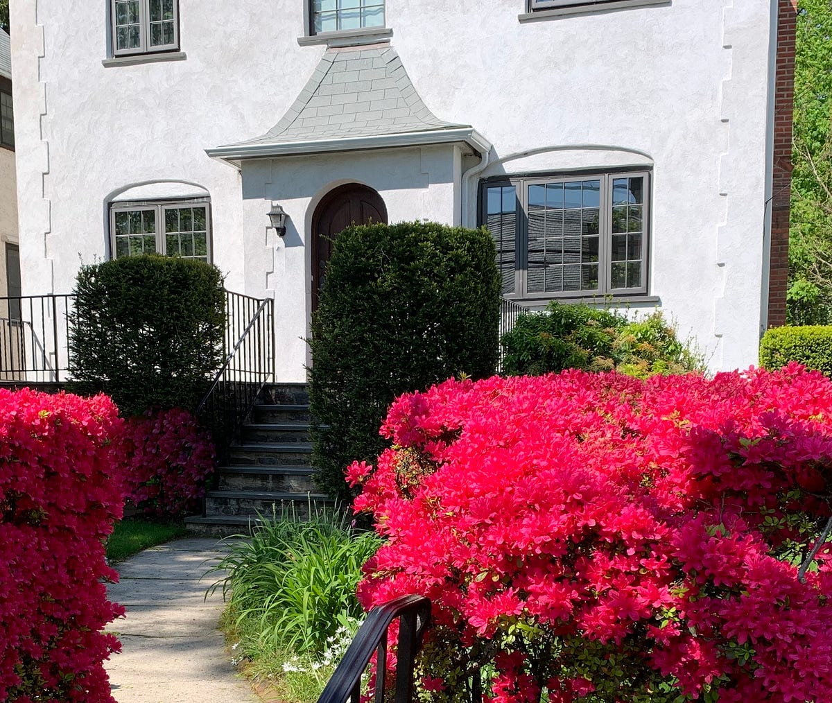 OUR DOMICILE DAILY (published weekly) | by Angela Bonavoglia | Medium