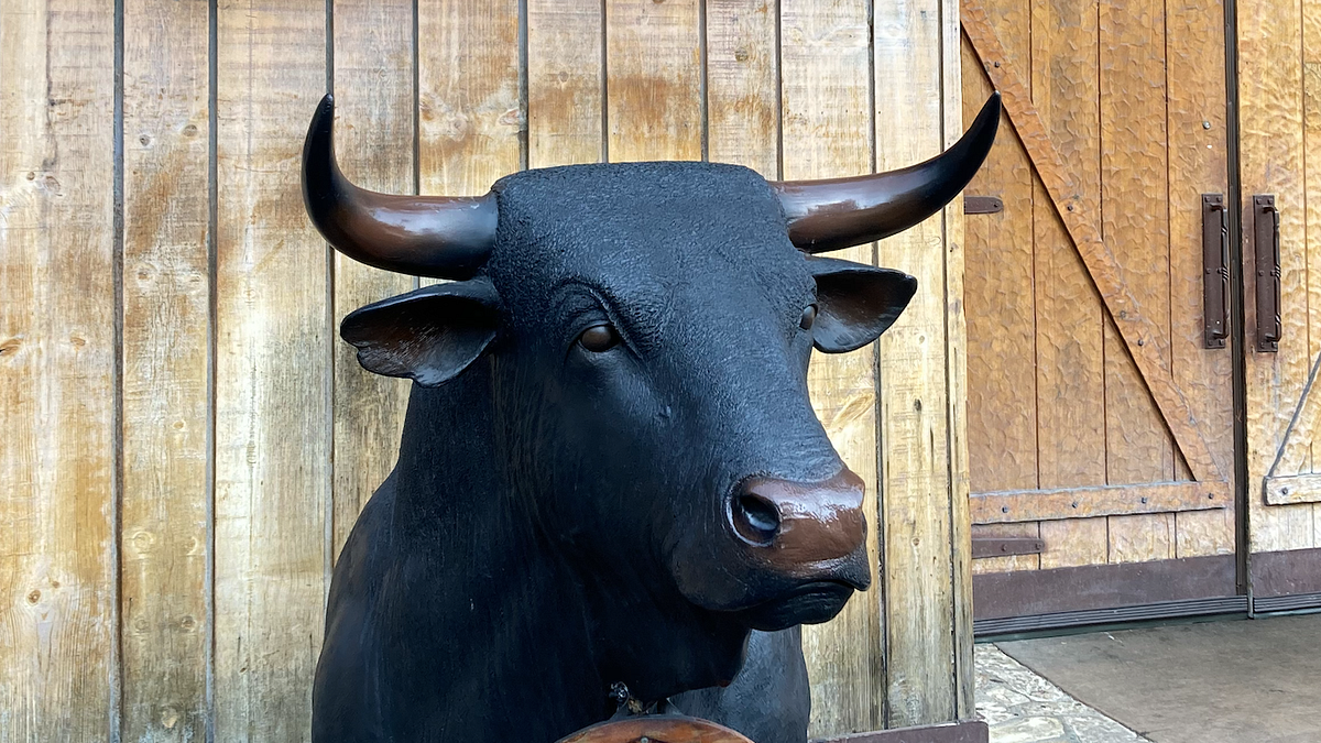 Life is Like a Mechanical Bull Ride | by Crystal Anna Gordon ...