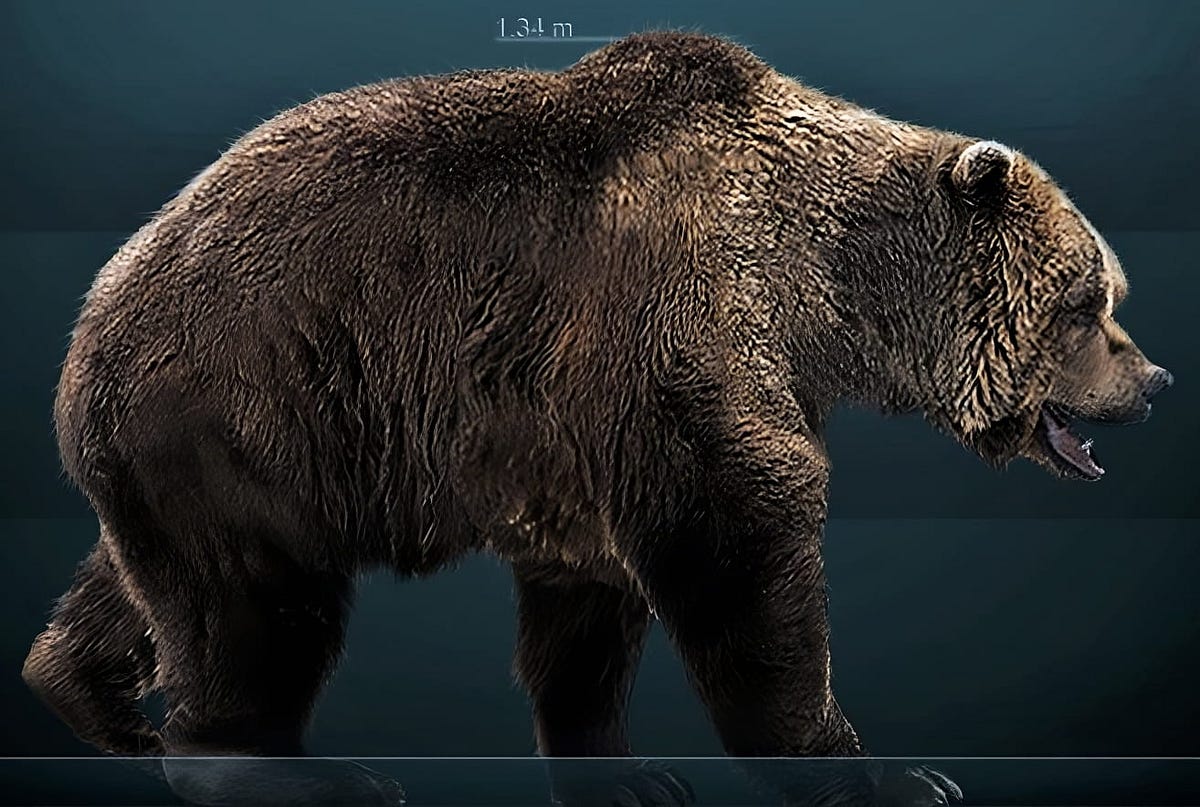 Claw marks of an extinct creature have been discovered in a Spanish ...