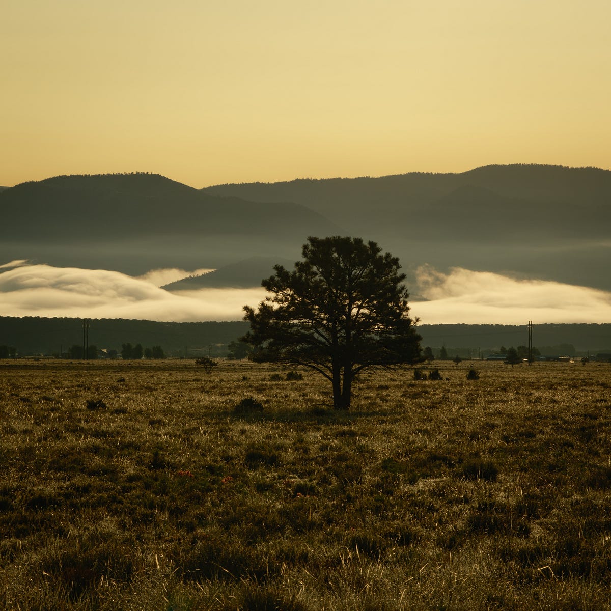 Trying to help a friend. I recently spoke to a friend who is… | by Tim Bindner | Medium